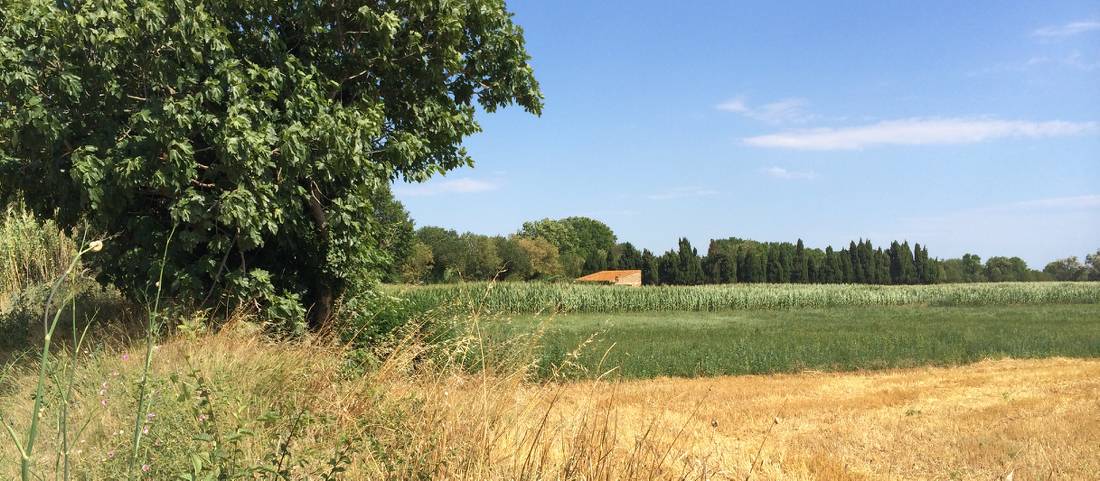UTracks | Cucli: Wonderful Movie Shot in the Spanish Countryside